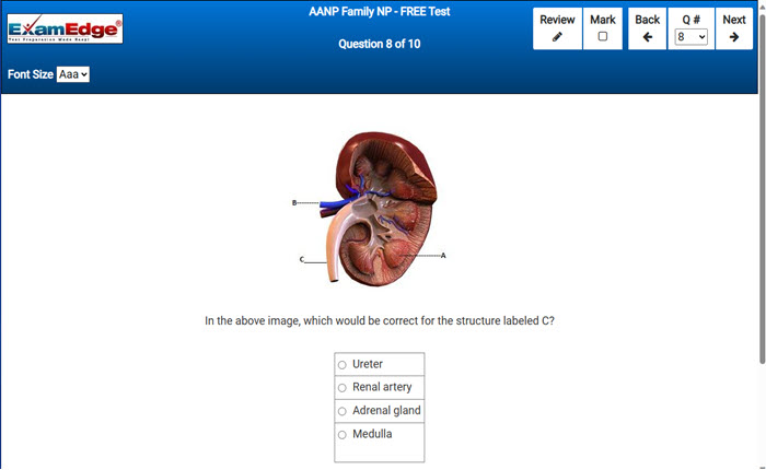Features - NLN Pharmacology Practice Tests by Exam Edge